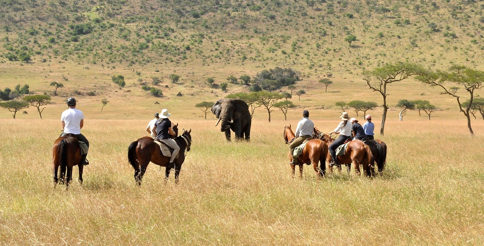 Horse Riding Safaris in Kenya – Tim Leperes Safaris